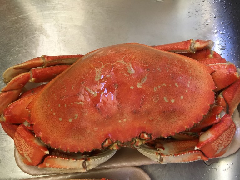 Episode 85 – “Crustacean Nation III: Feeling Crabby” | Allison Cooks ...